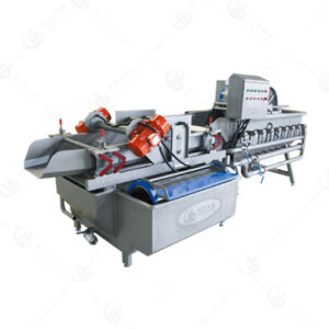 Vortex Vegetable Fruit Washing Machine - Taibo Food Processing Equipment